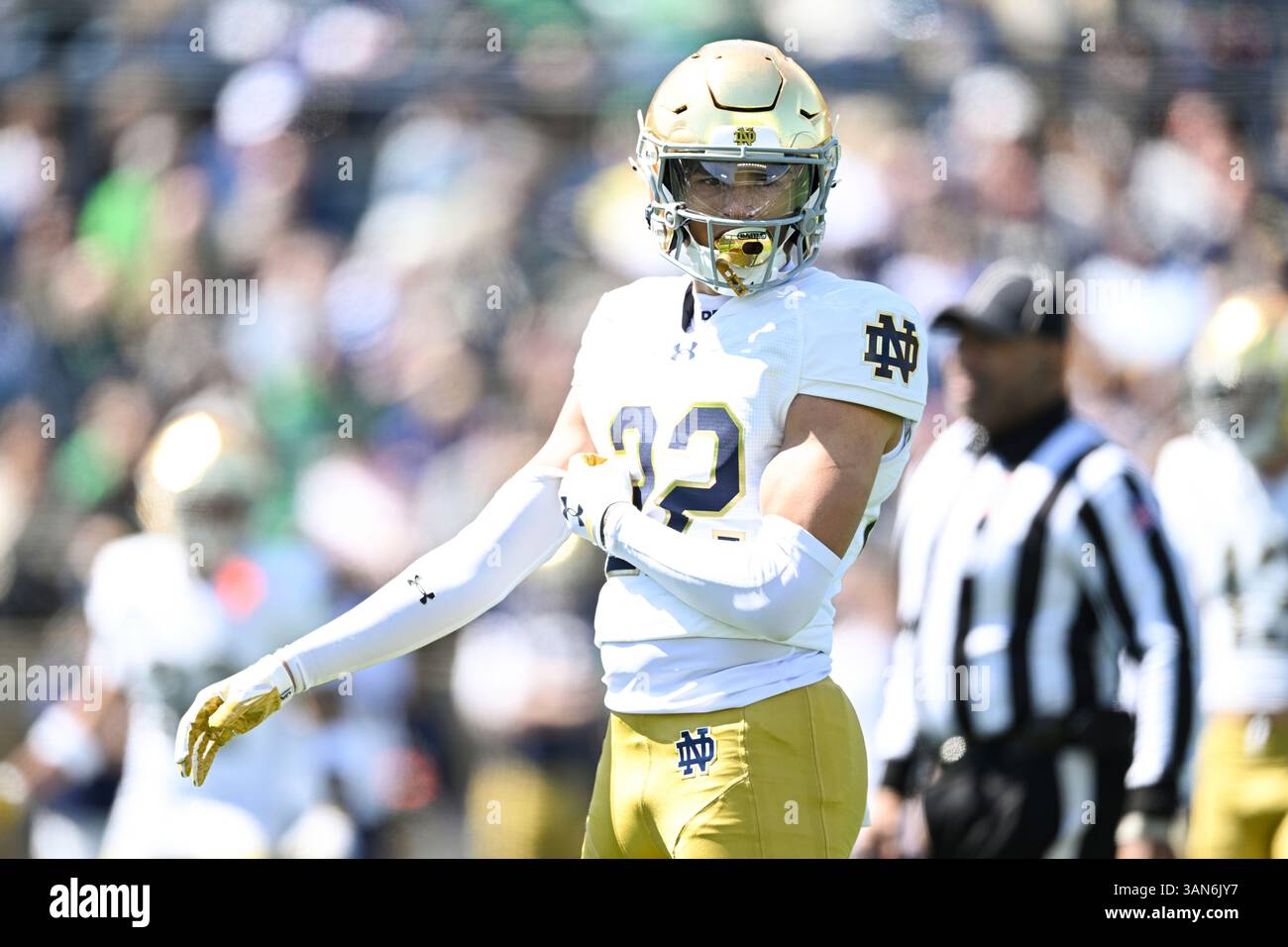 SOUTH BEND, IN - APRIL 12: Notre Dame S Ethan Long (22) during the ...