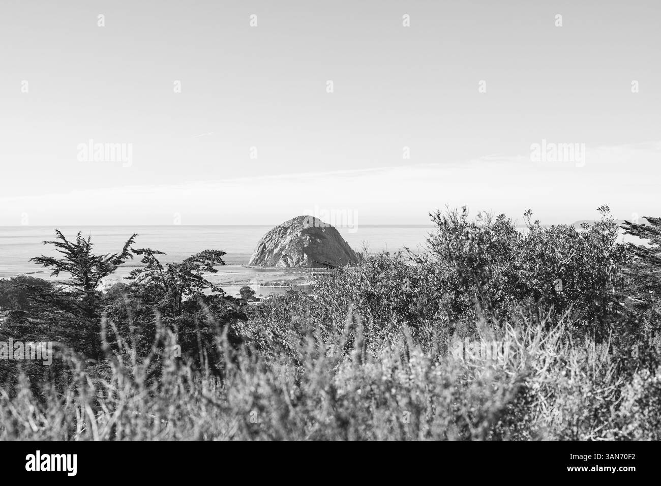 Sate Black and White Stock Photos & Images - Alamy