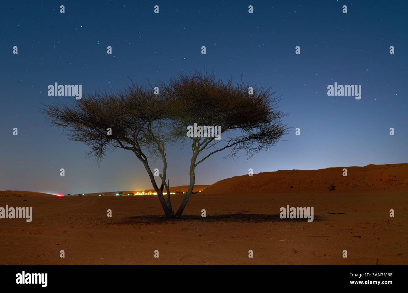 Moonlit Night in the Rub Al Khali desert, Sultanate of Oman. Arabian ...