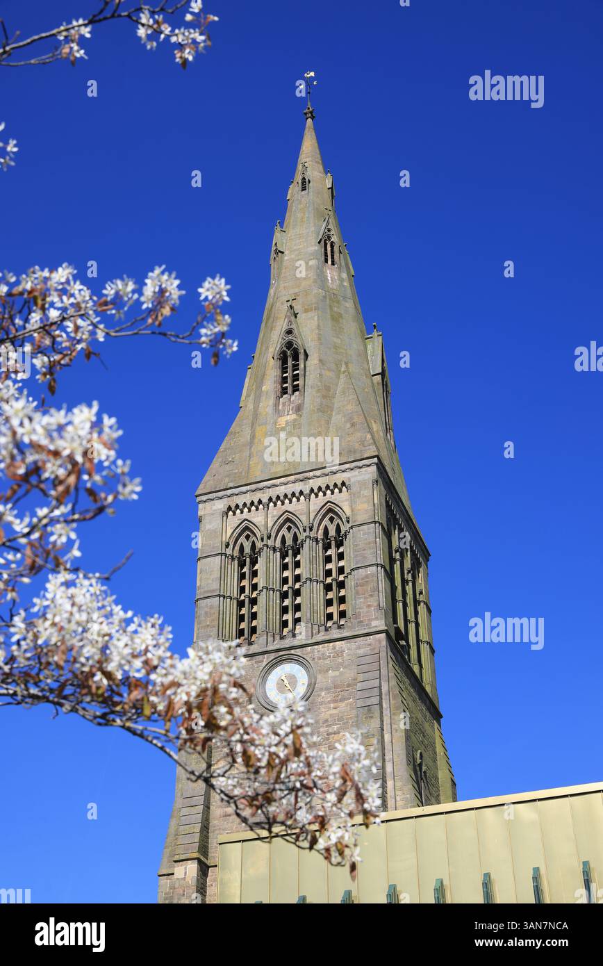The tower & spire of the Cathedral church of St Martin & Tours known as ...