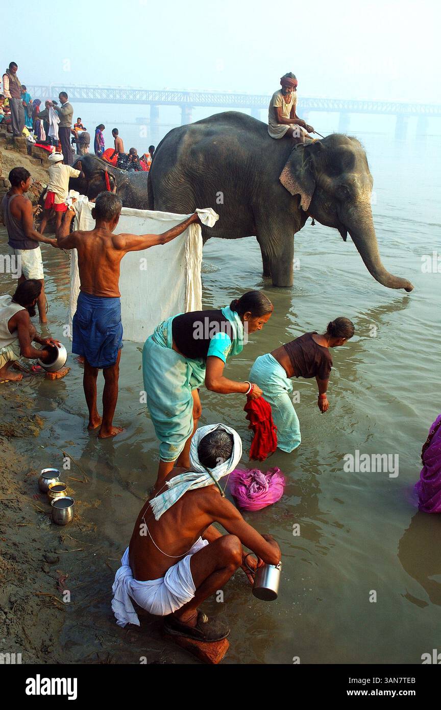 People bathin at the Ganges river during the Sonepur festival. The ...