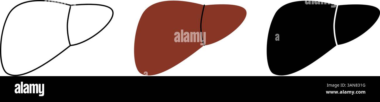 Liver icon set. Human internal organ anatomy. Vector illustration Stock ...