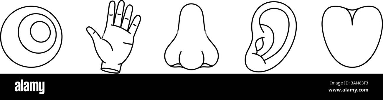 Five human senses line icon set. Vision, smell, hearing, touch, taste ...