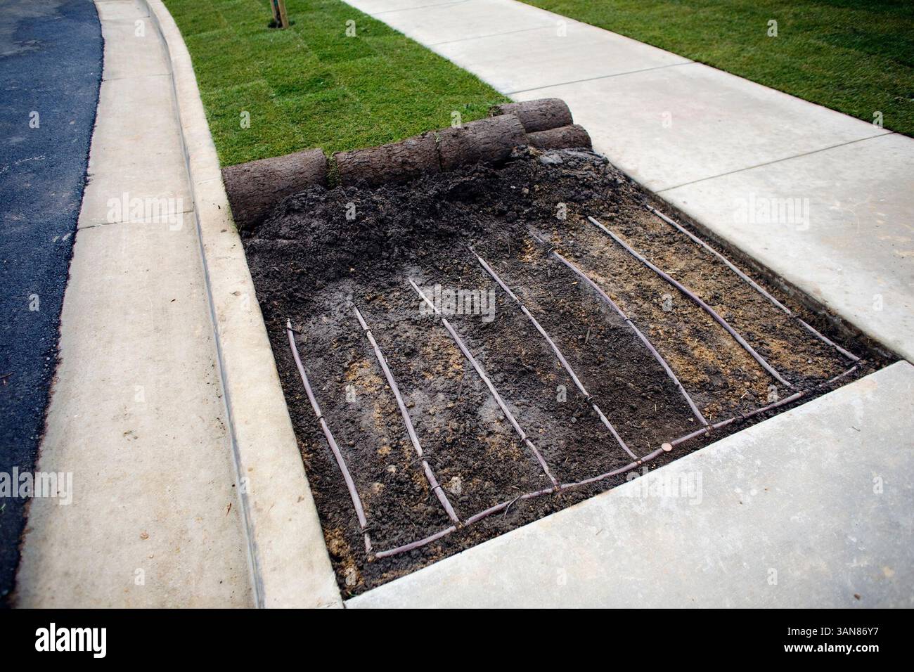 Eliminates the need for irrigation hi-res stock photography and images ...