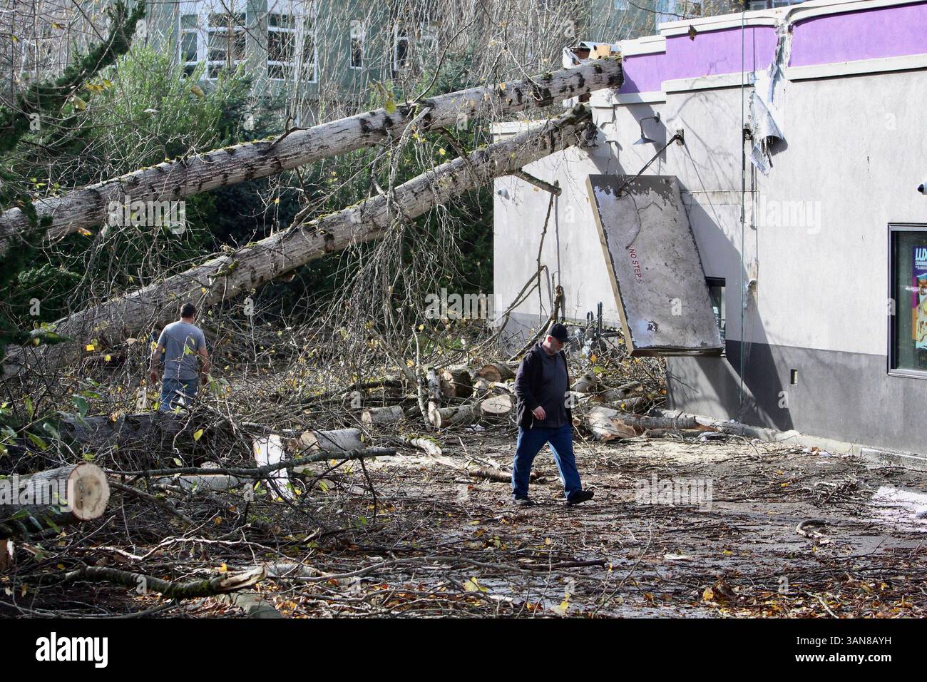 FILE - A crew cuts a tree that fell on a Taco Bell restaurant on ...