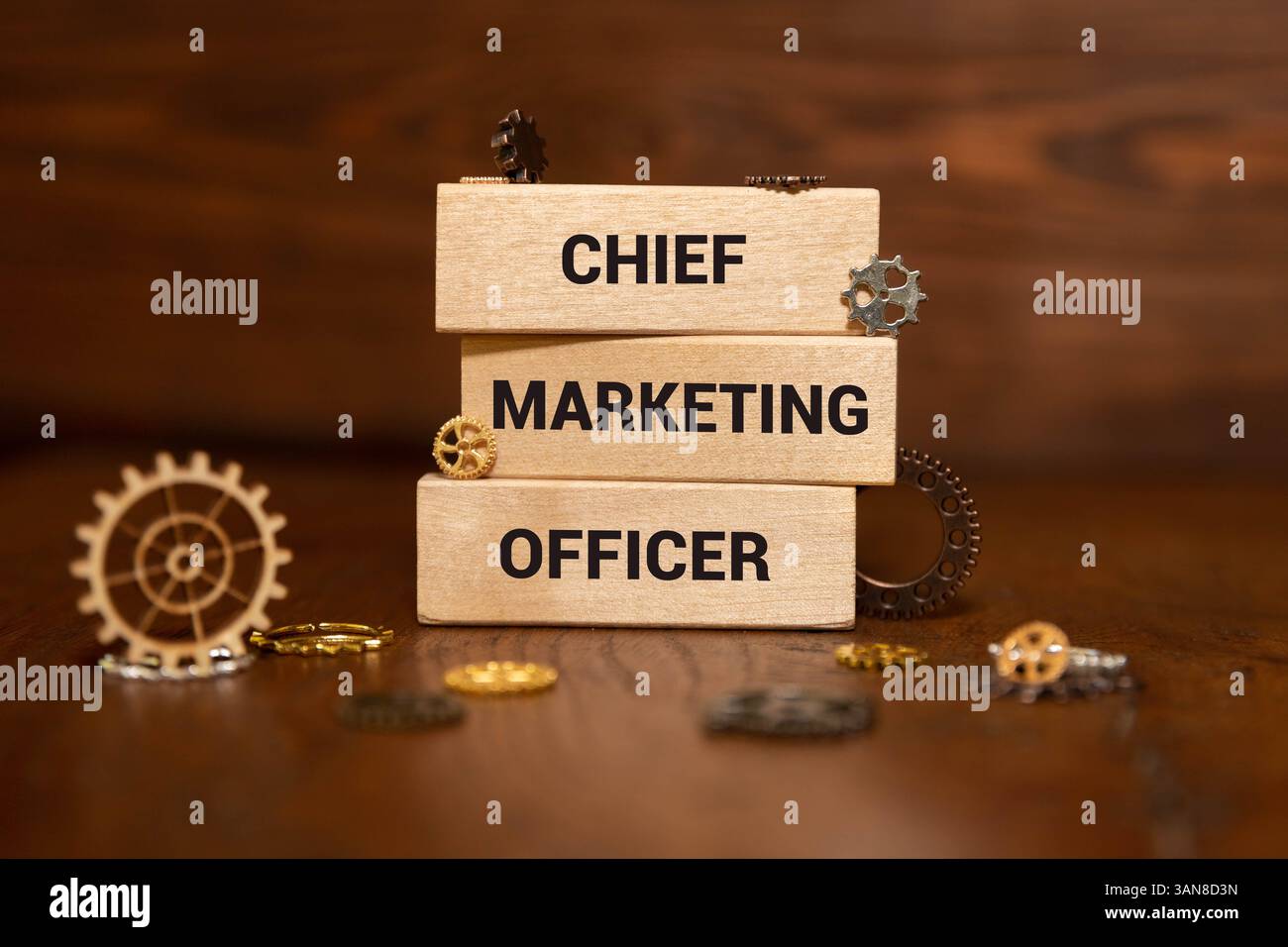 Wooden blocks with words 'Chief Marketing Officer'. Business concept ...