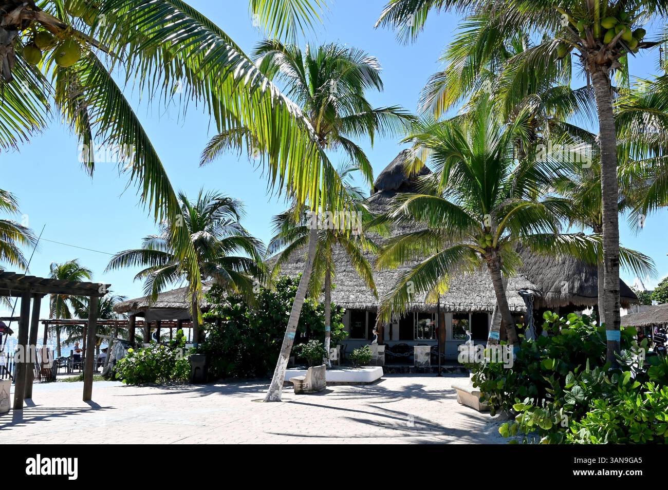 A beachfront restaurant with a thatched roof made of palm leaves ...