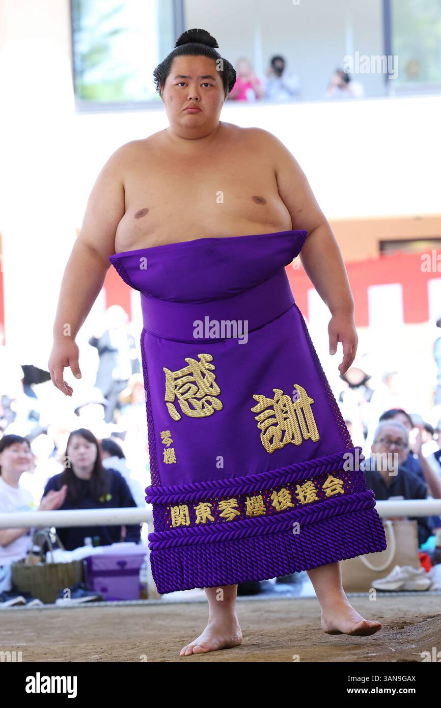 Tokyo Japan. 14th Apr, 2025. Kotozakura, APRIL 14, 2025 - Sumo : Annual ...