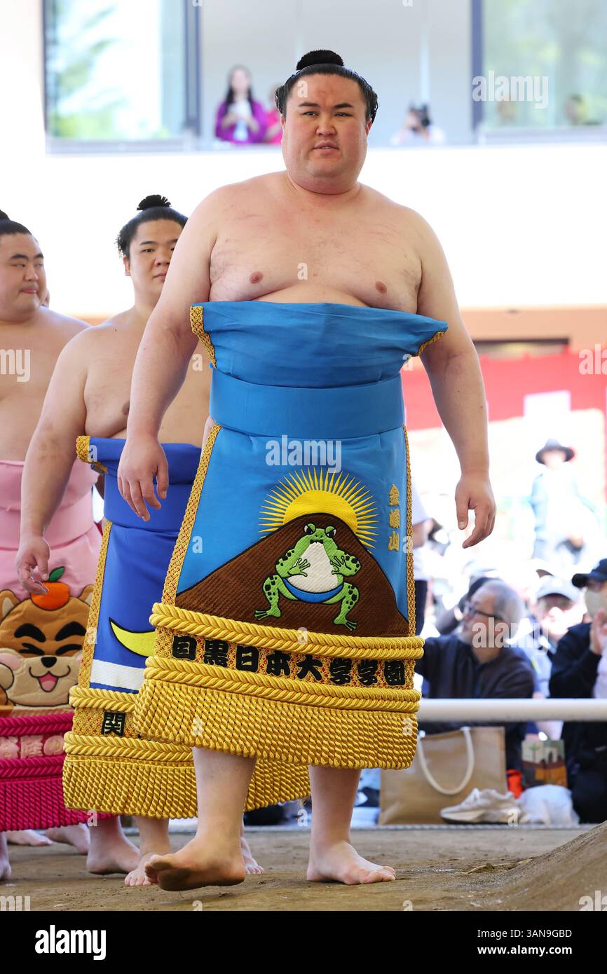 Tokyo Japan. 14th Apr, 2025. Kinbozan, APRIL 14, 2025 - Sumo : Annual ...