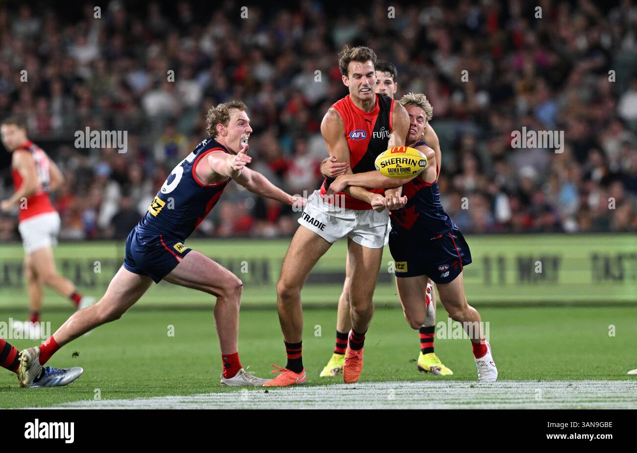Zach Reid of Essendon tackled by Harry Sharp of Melbourne (R) and ...