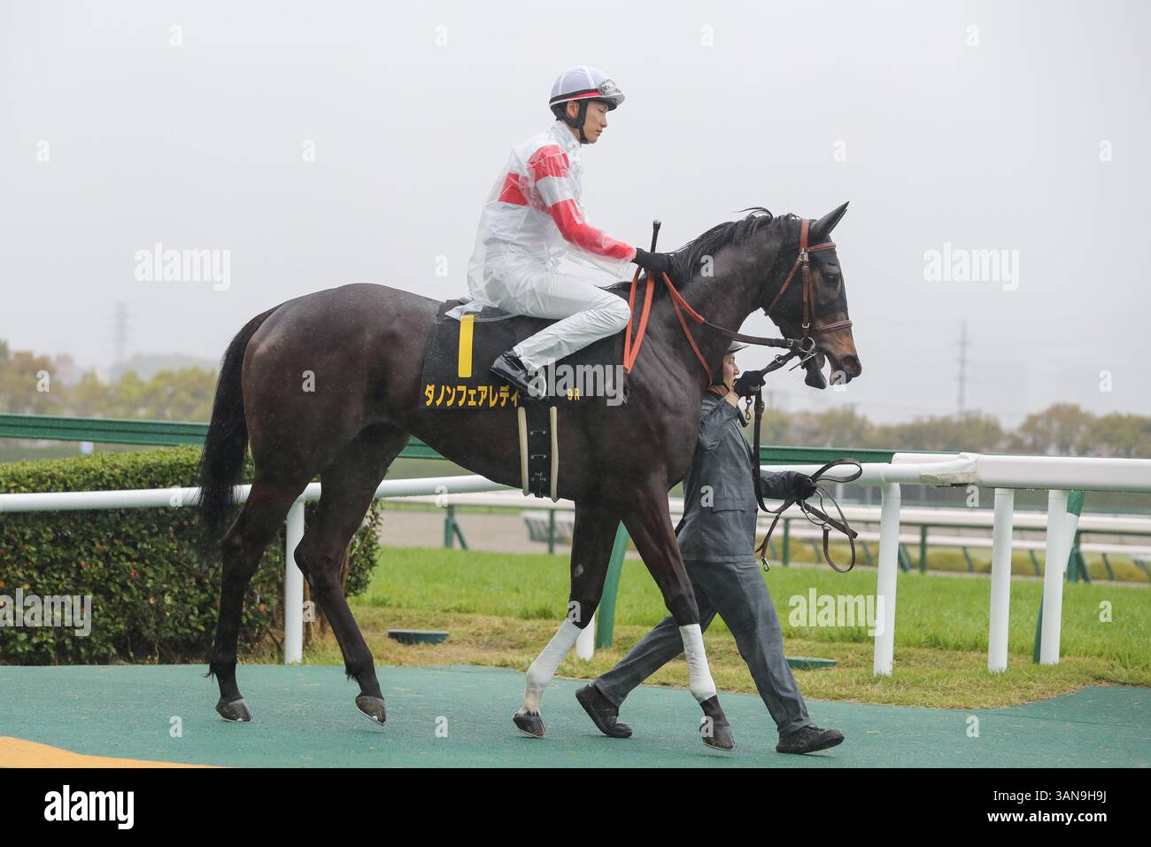 2025/04/13 HANSHIN 09R WASURENAGUSA SHO Danon Fair Lady/Ryusei Sakai Jockey Hanshin Racecourse ...