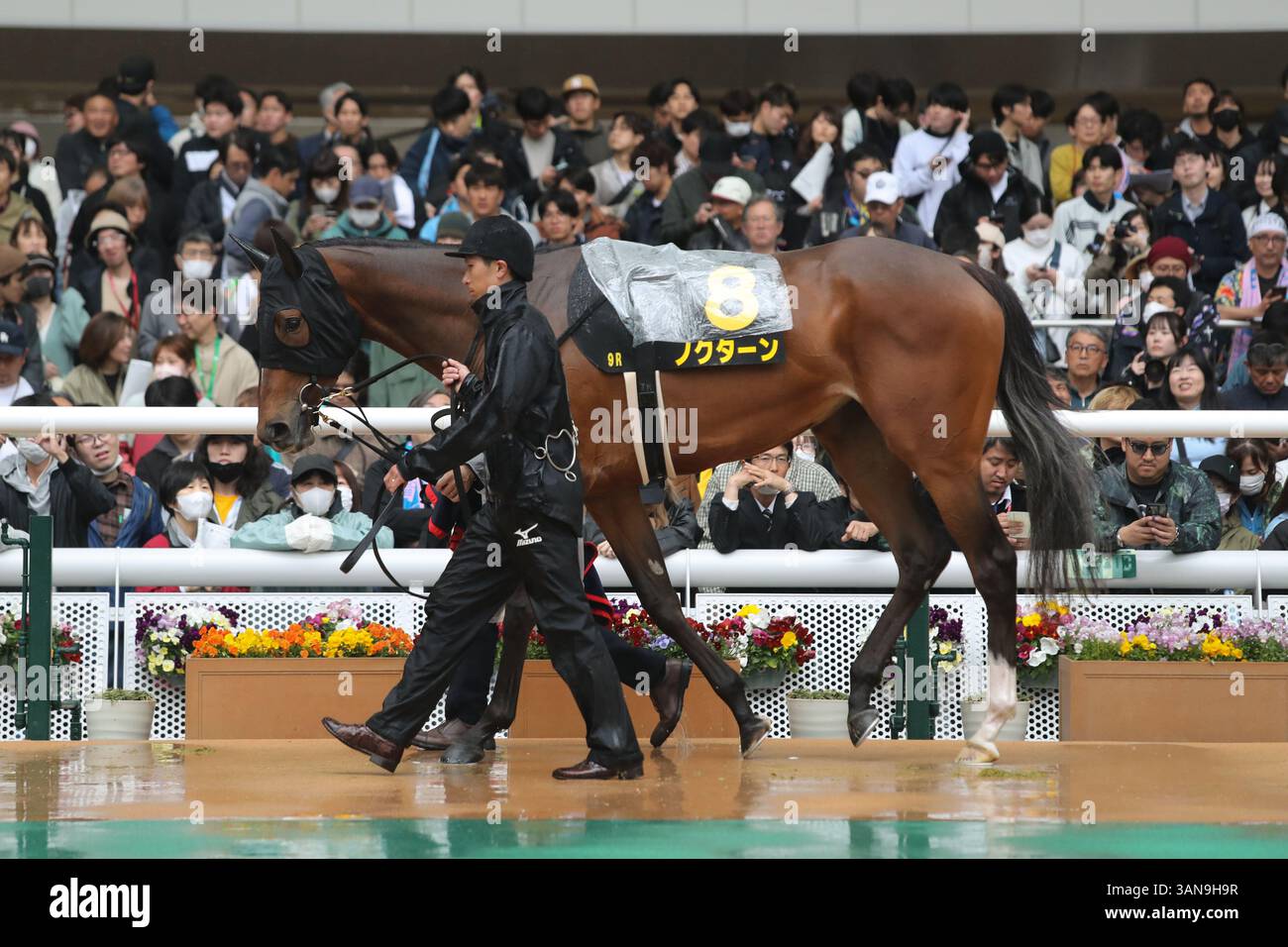 2025/04/13 HANSHIN 09R WASURENAGUSA SHO Nocturne Hanshin Racecourse in Hyogo, Japan on April 13 ...