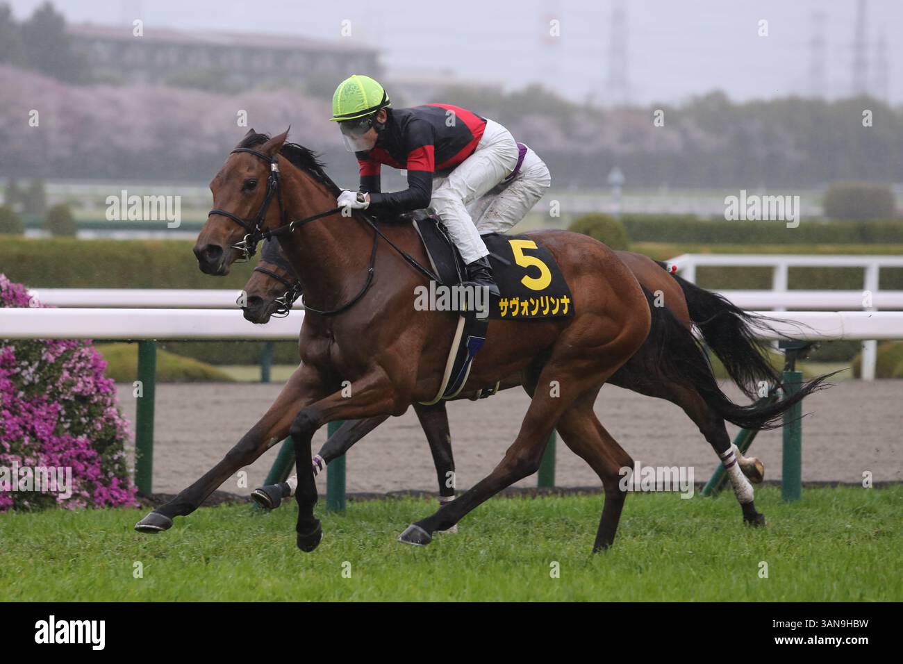 2025/04/13 HANSHIN 09R WASURENAGUSA SHO Savonlinna/Yuichi Kitamura ...