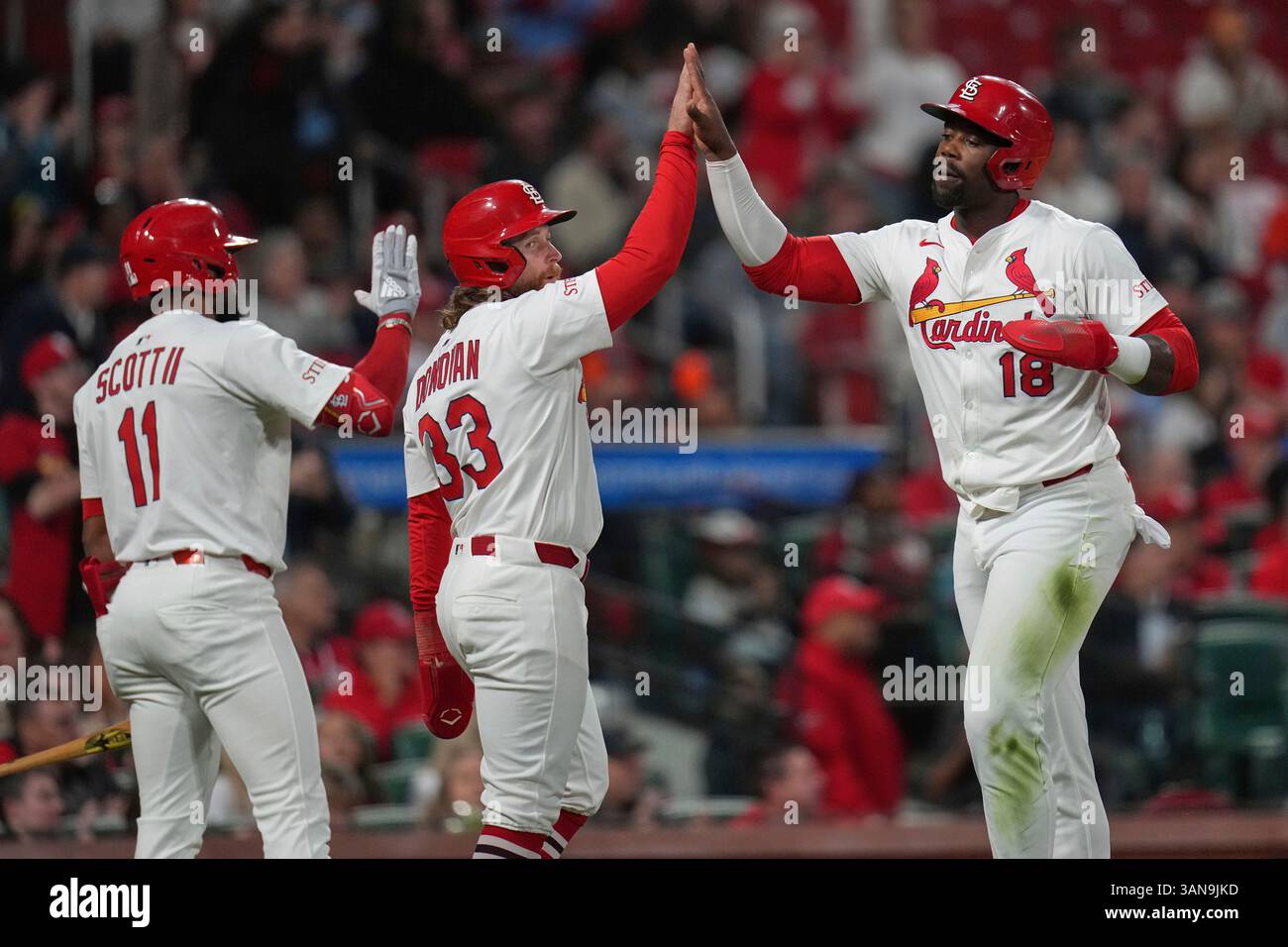 St. Louis Cardinals' Jordan Walker (18) is congratulated by teammates ...