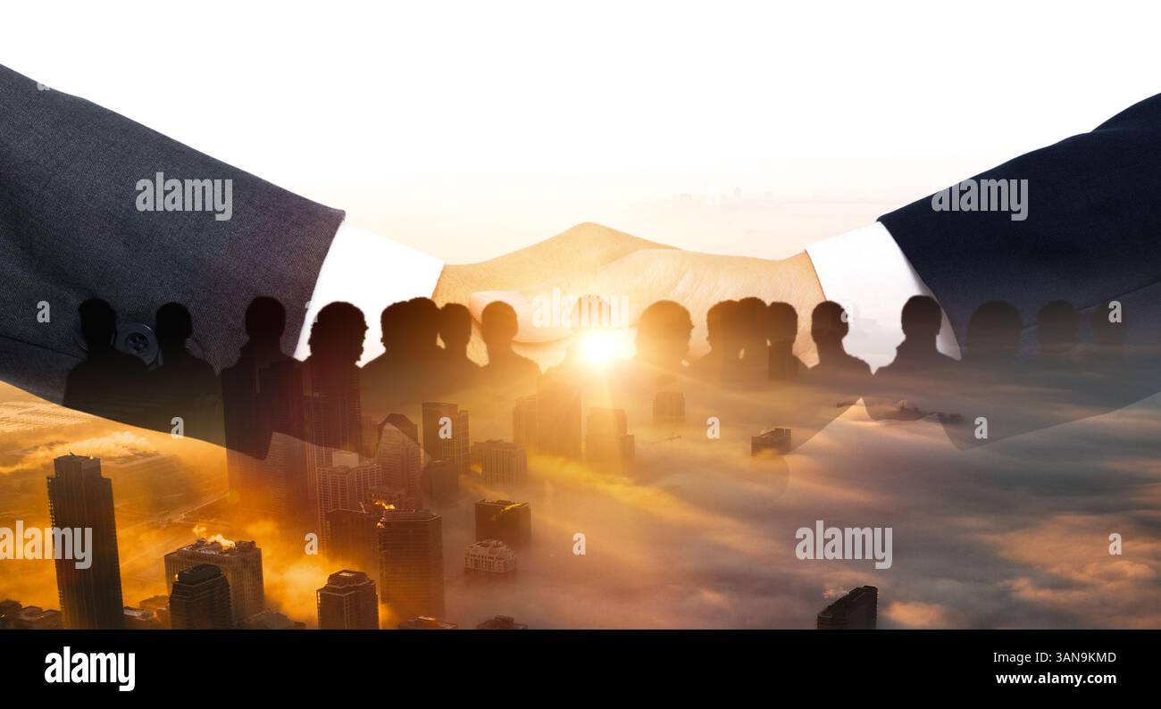 Businessmen making handshake with partner, greeting, dealing, merger ...