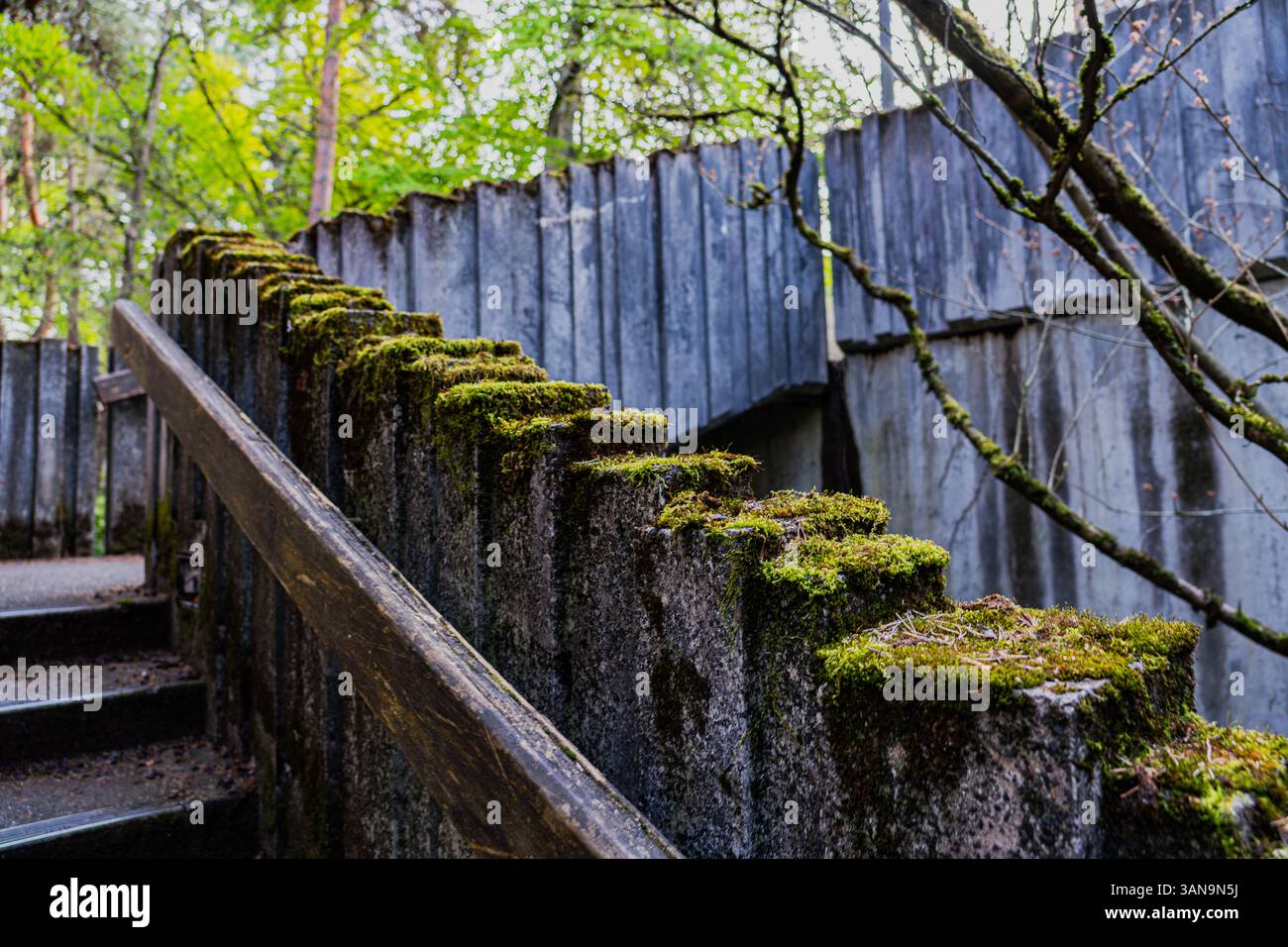 Seattle WA USA - April 7th 2025: Moss on stair in spring time Stock ...