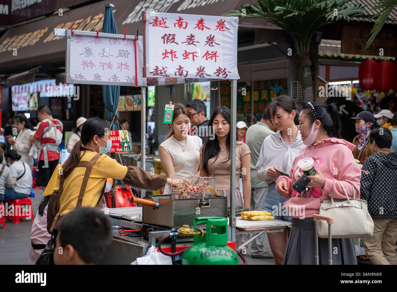 Fangchenggang,China.13th April 2025. The Dongxing Border Gate Scenic Area in Fangchenggang City ...