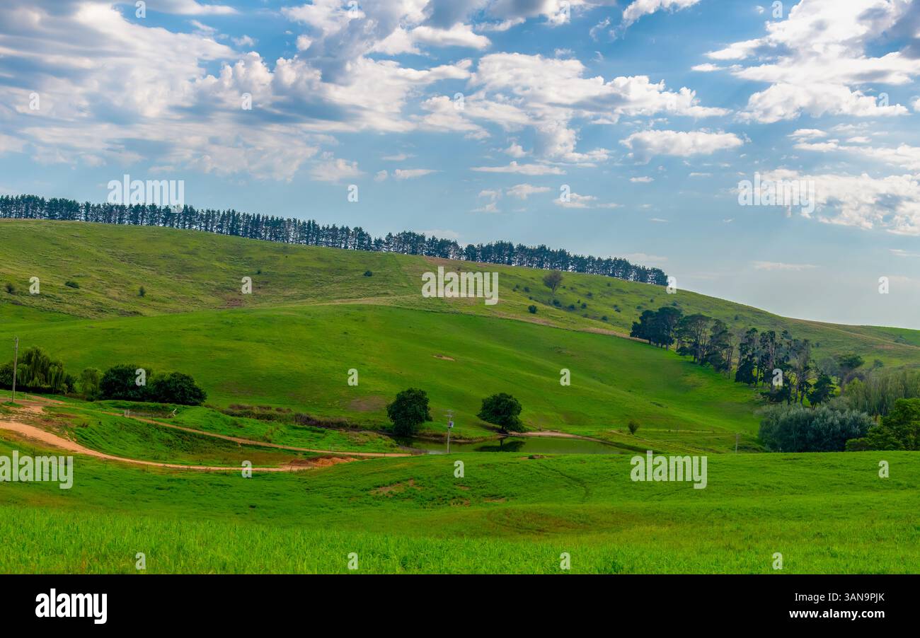 The countryside around the Bega Valley Shire also known as the Sapphire ...