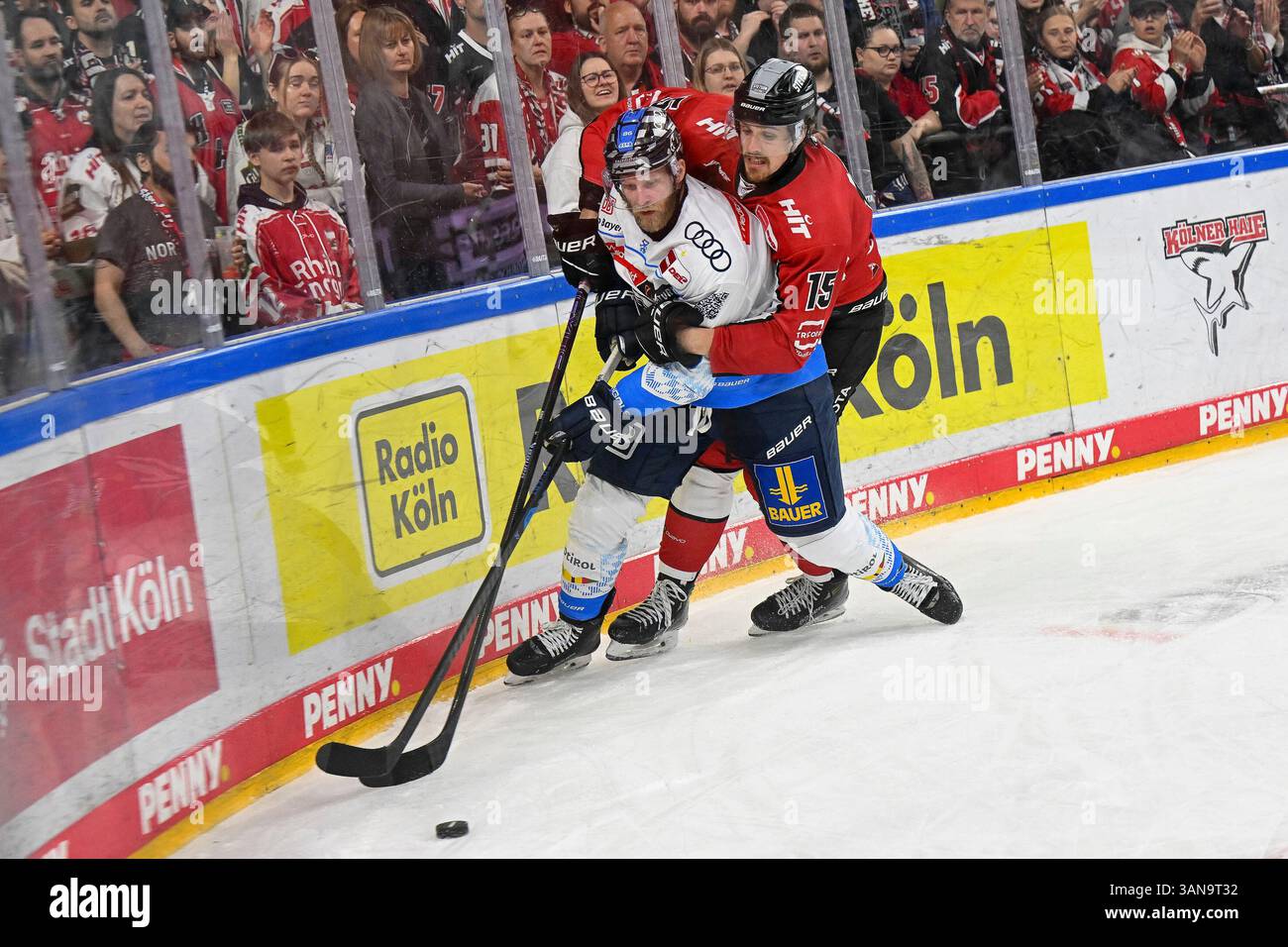 Eishockey DEL - 24/25 - Playoff-Halbfinale Spiel 6: Kölner Haie vs ERC ...