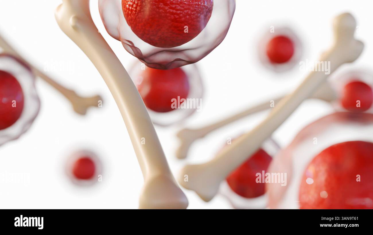 A 3d rendering of connection between hematopoietic stem cells and a ...