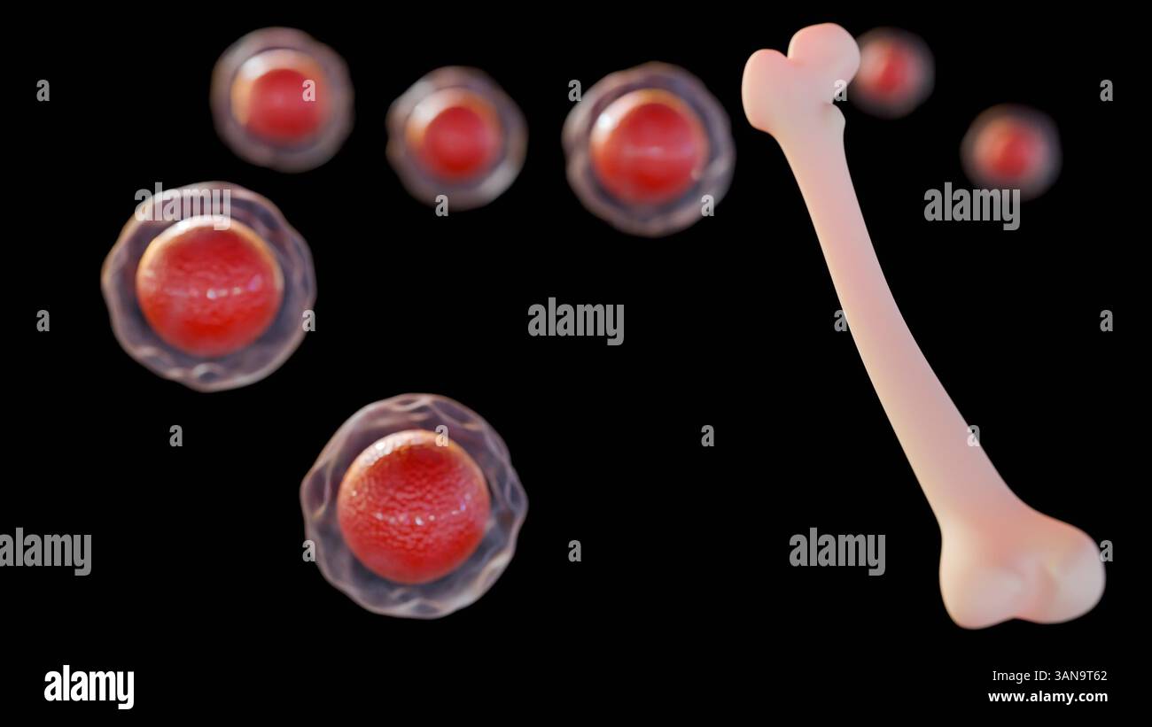 A 3d rendering of connection between hematopoietic stem cells and a ...