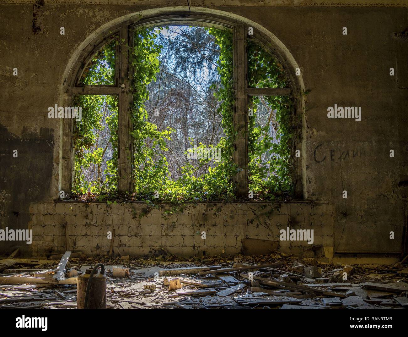 Interior view, former Alpine house on the historic site of the ...