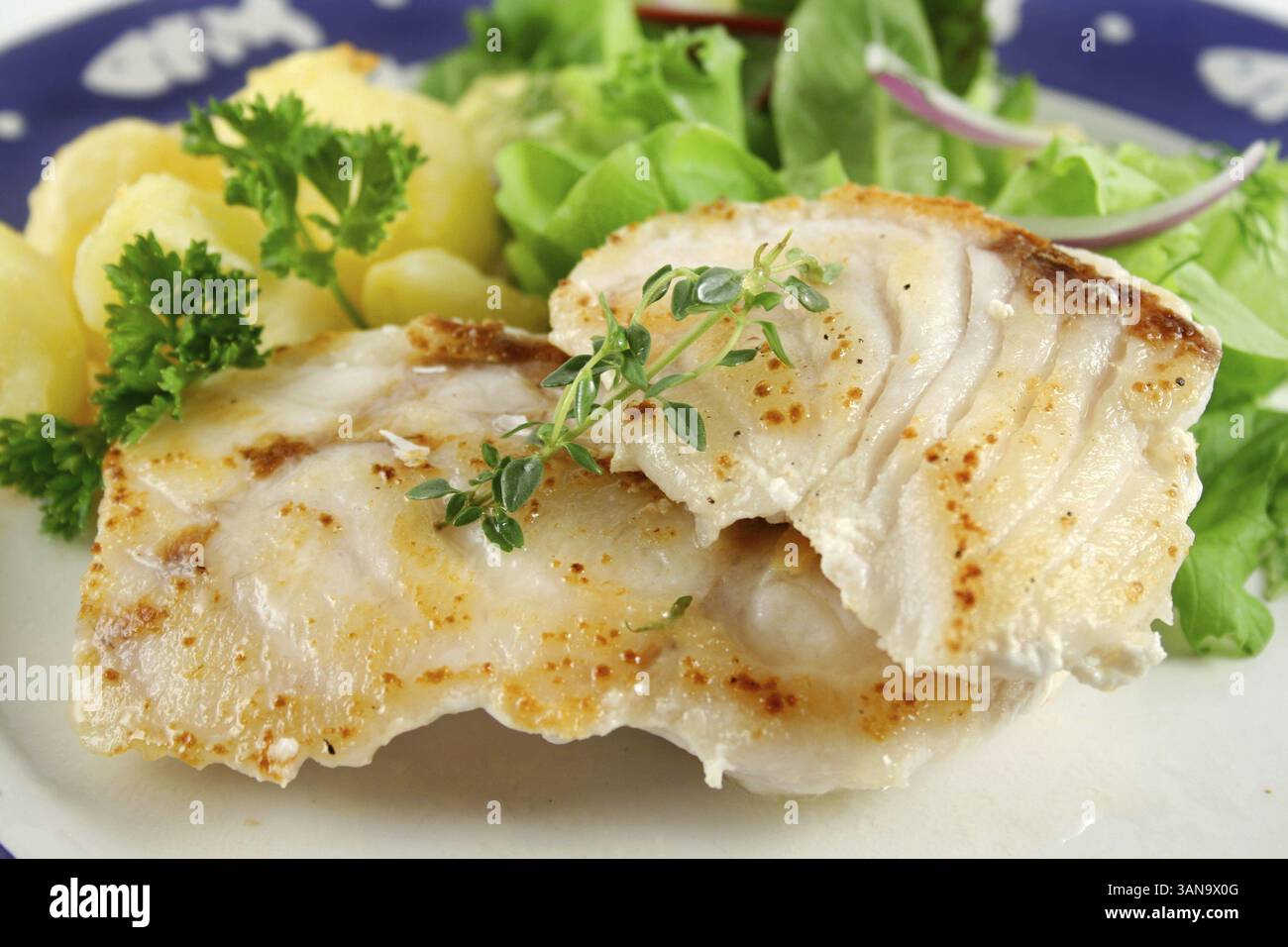 Pan fried Pearl Perch with golden roasted potato pieces and salad Stock ...