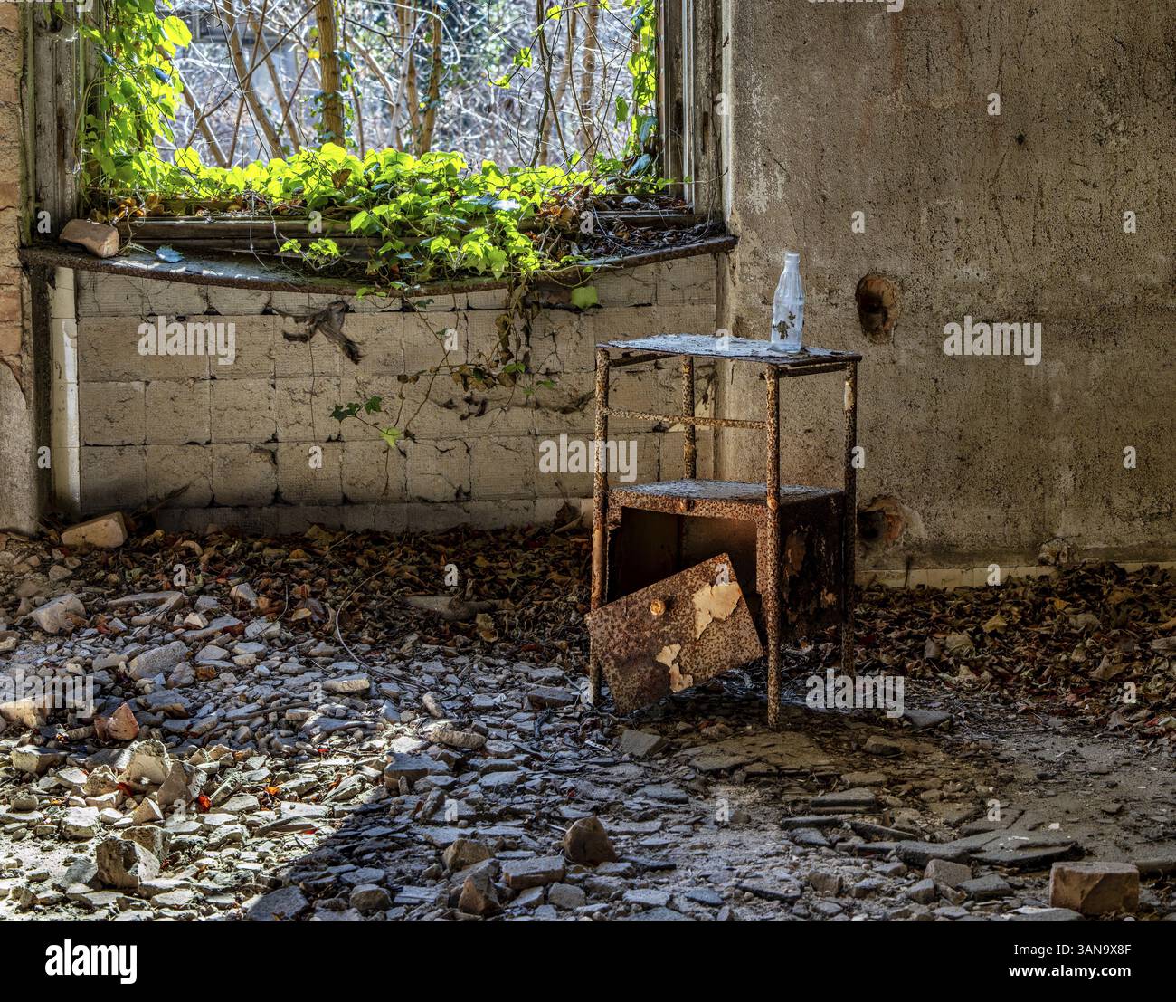 Interior view, former Alpine house on the historic site of the ...