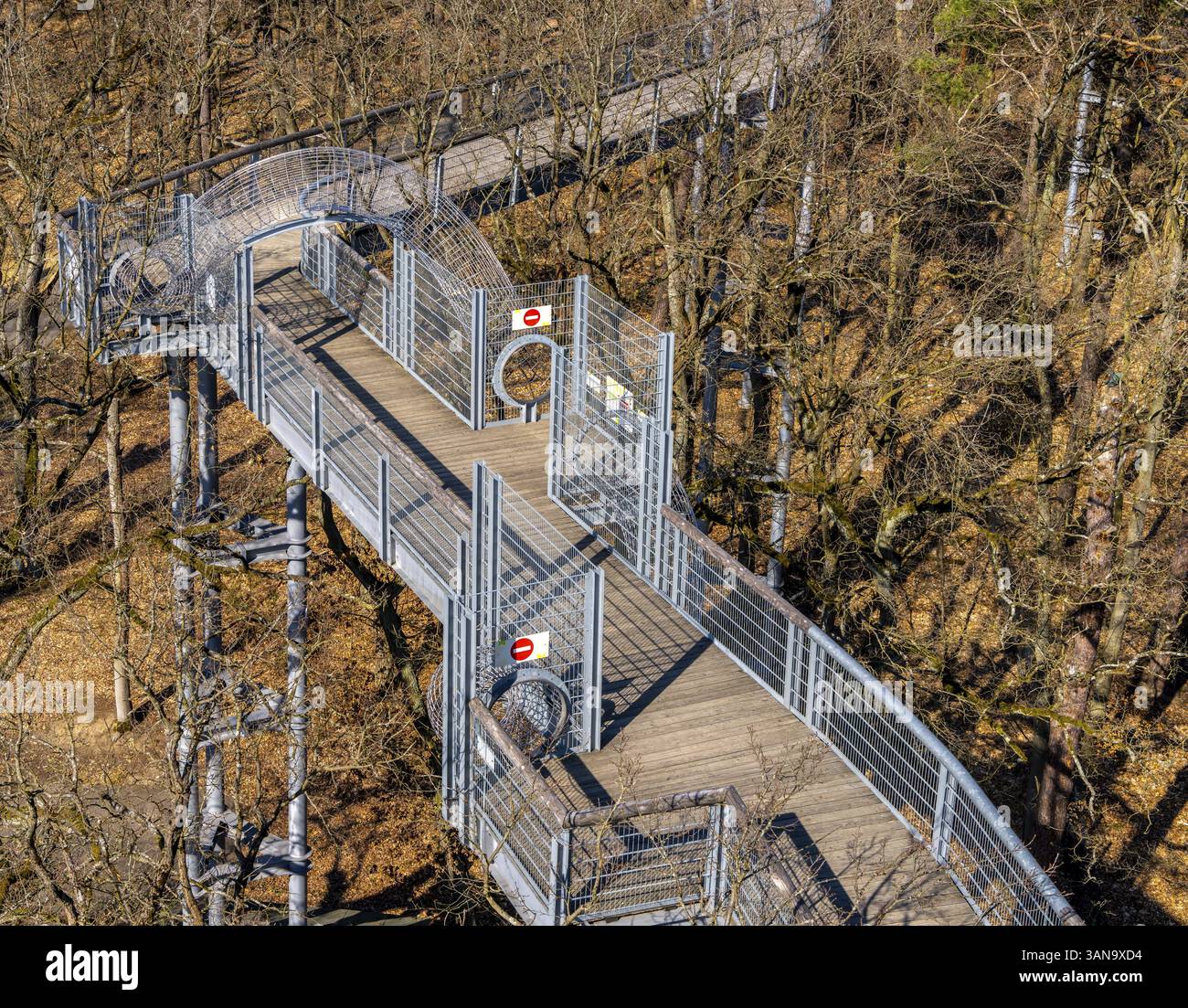 Treetop path on the historic site of the former tuberculosis sanatorium ...