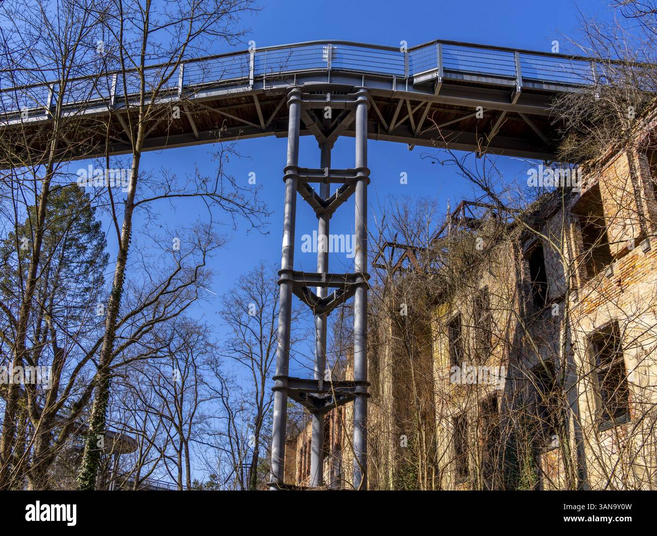 Treetop path on the historic site of the former tuberculosis sanatorium ...