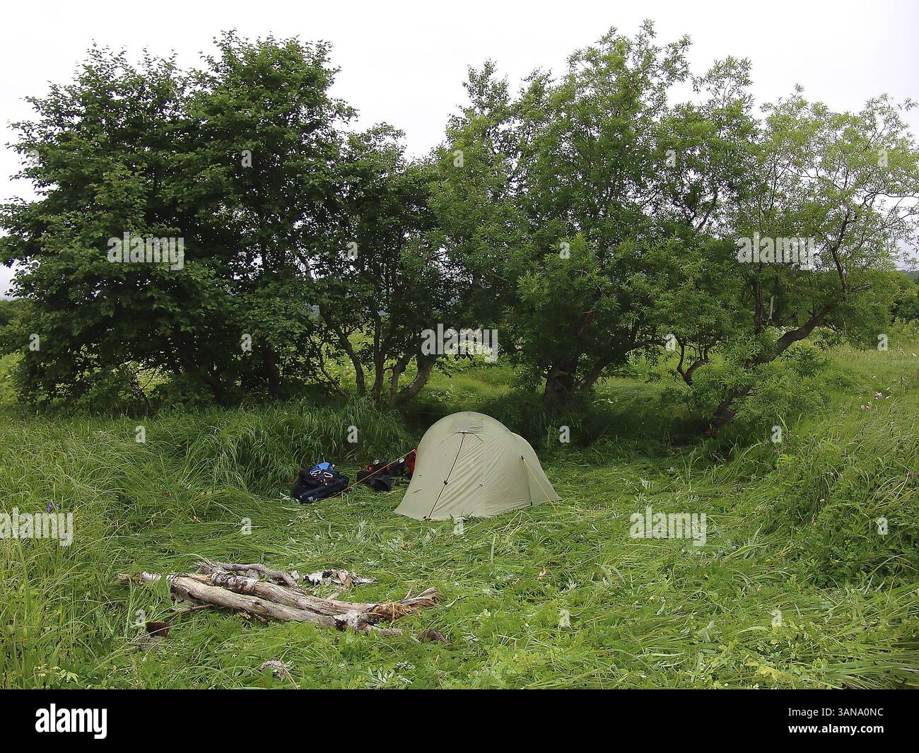 Camp, Russian Federation Stock Photo - Alamy