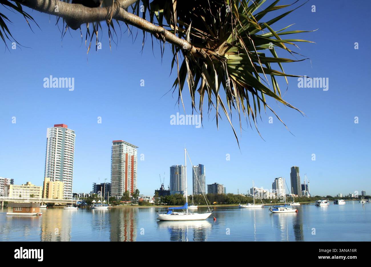 City of Southport on the Gold Coast Australia seen across the Nerang ...