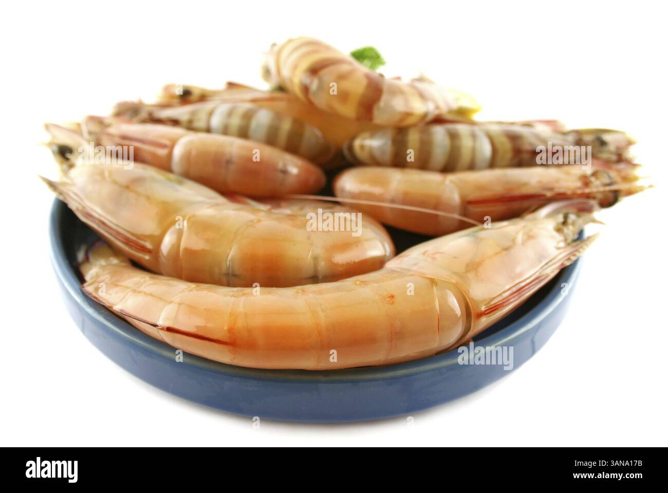 Tiger with green Cut Out Stock Images & Pictures - Alamy