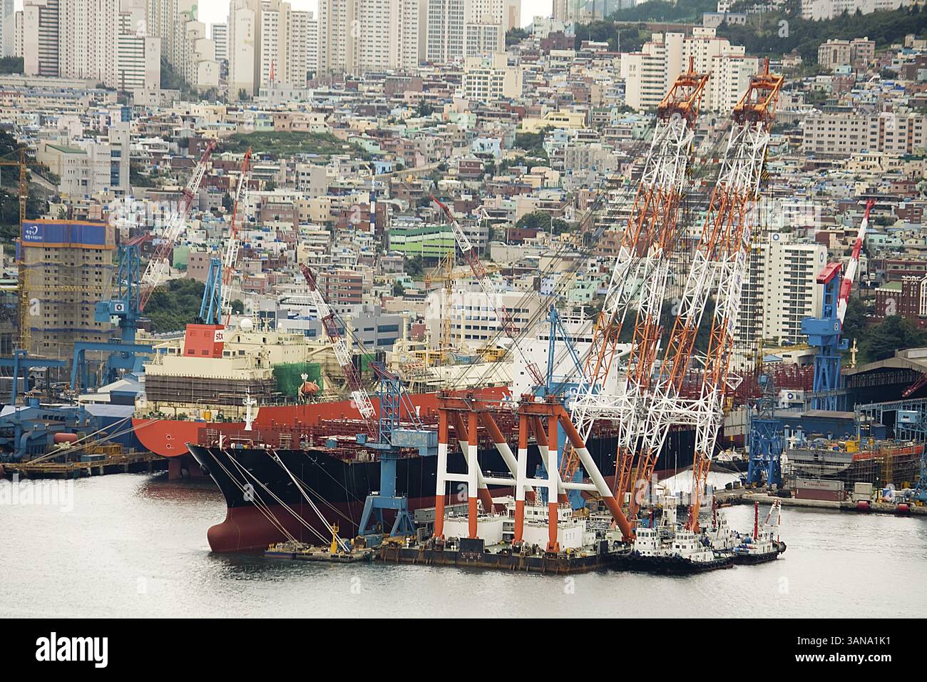 City life in Busan, Busan, South Korea, Asia Stock Photo - Alamy