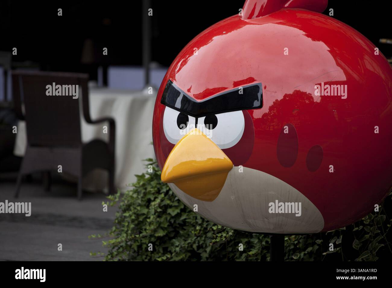 One angry hi-res stock photography and images - Alamy