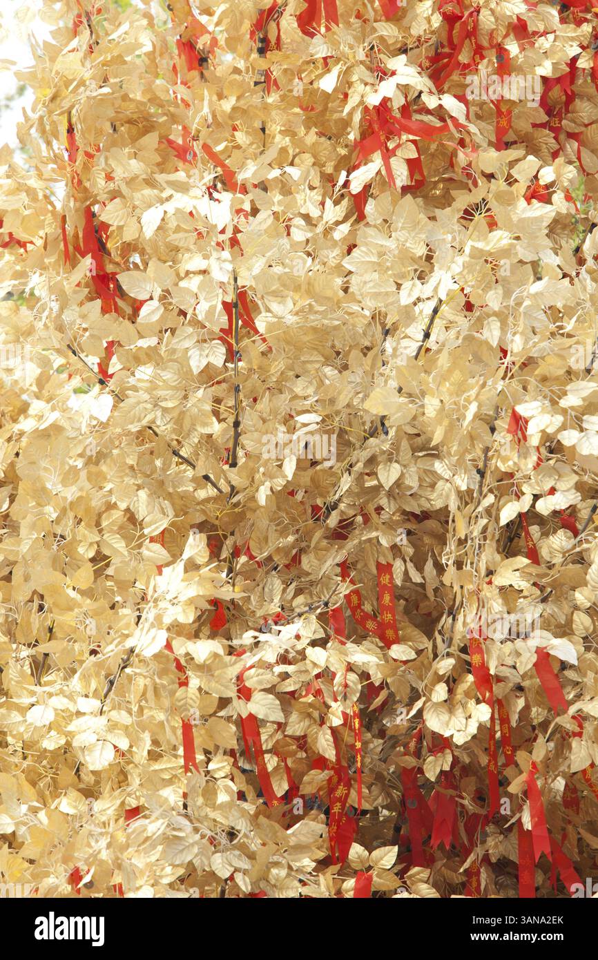 Wish trees hi-res stock photography and images - Alamy