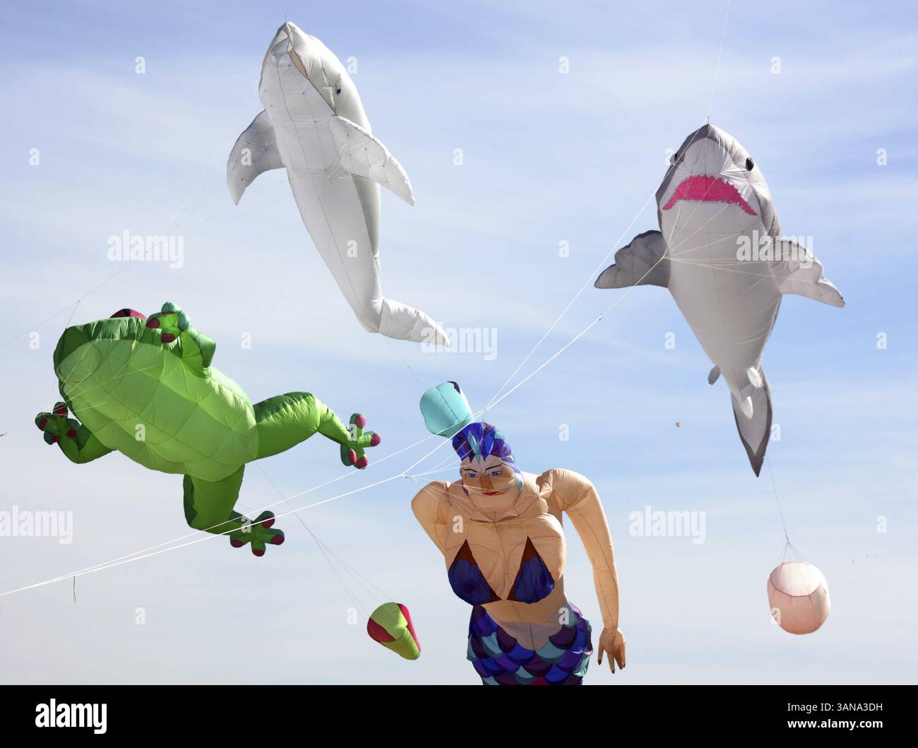 Giant colorful flying kites in the shape of a woman, frog, shark and ...