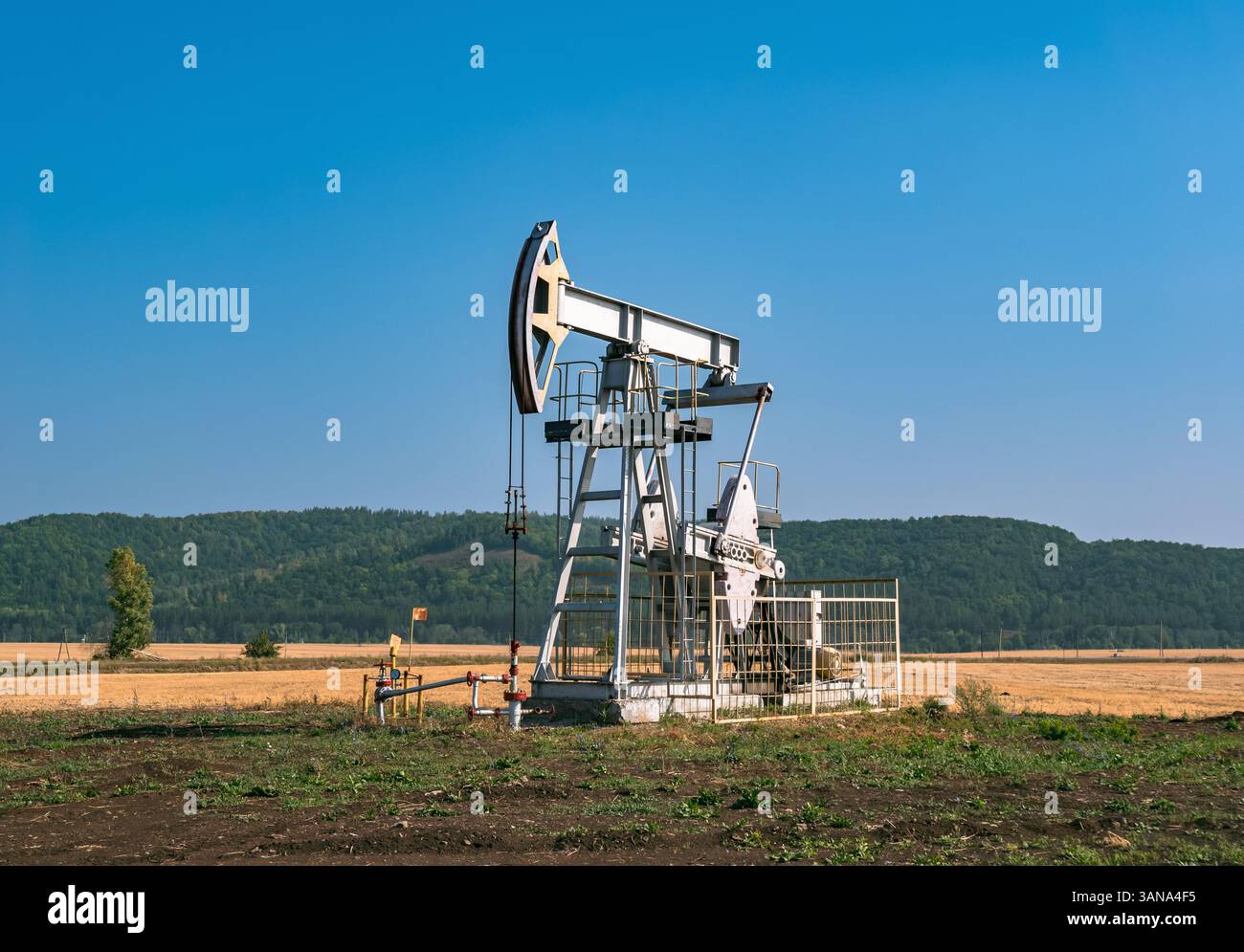 A large oil pump jack operates in an open field, extracting crude oil ...