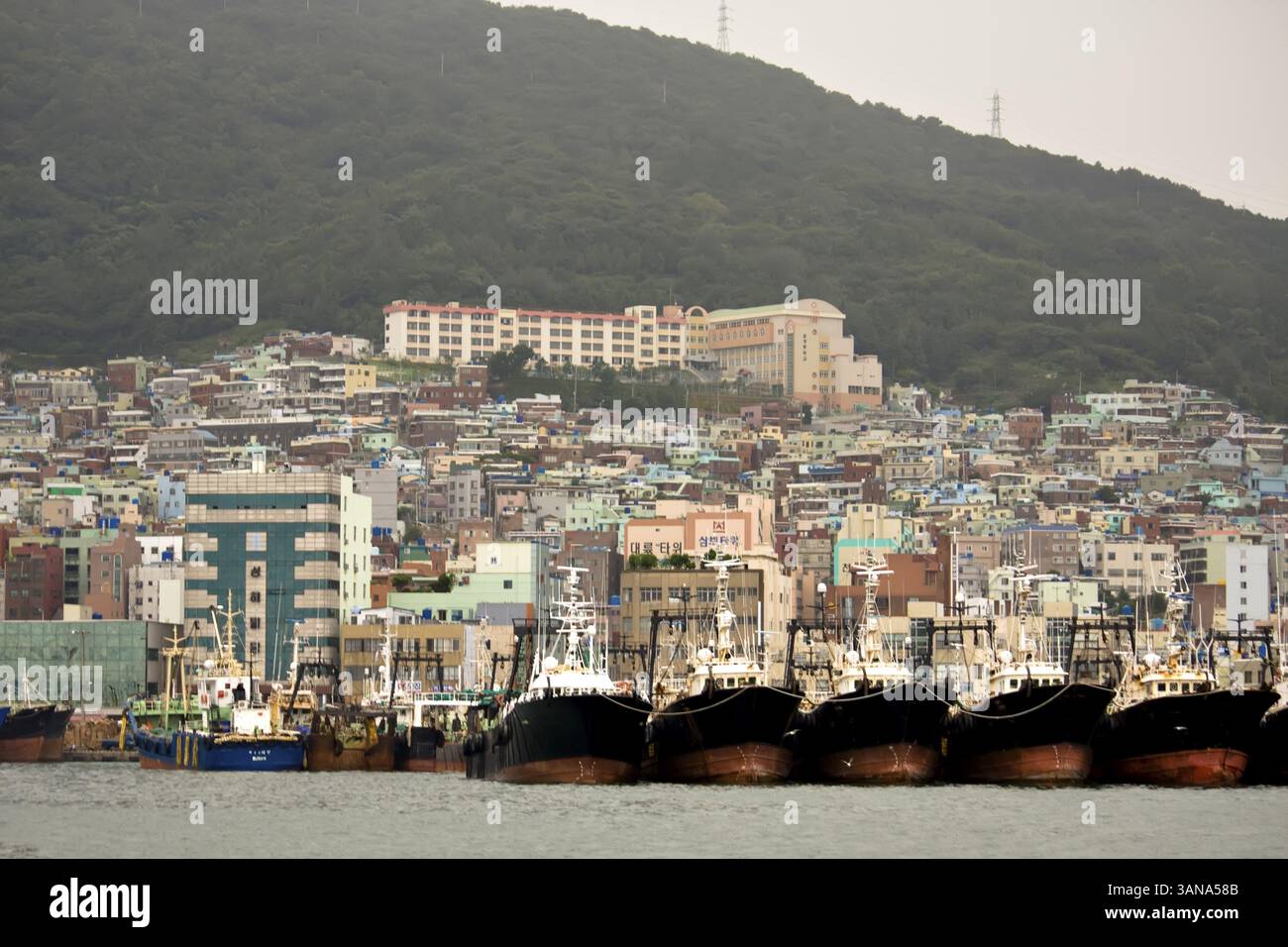 City life in Busan, Busan, South Korea, Asia Stock Photo - Alamy