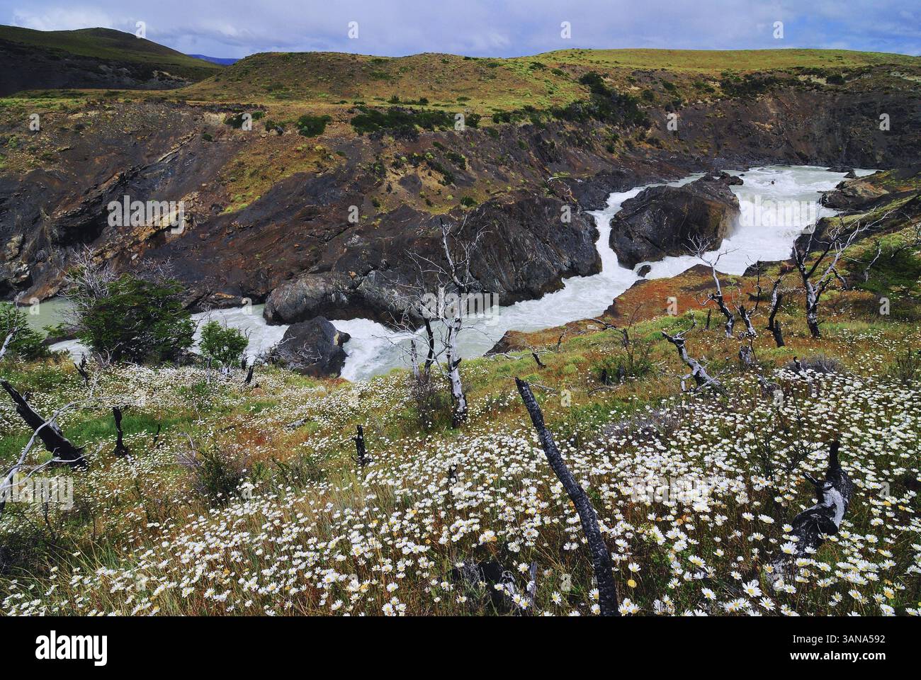 Cascada Rio Paine, Torres del Paine near Puerto Natales, Region de ...