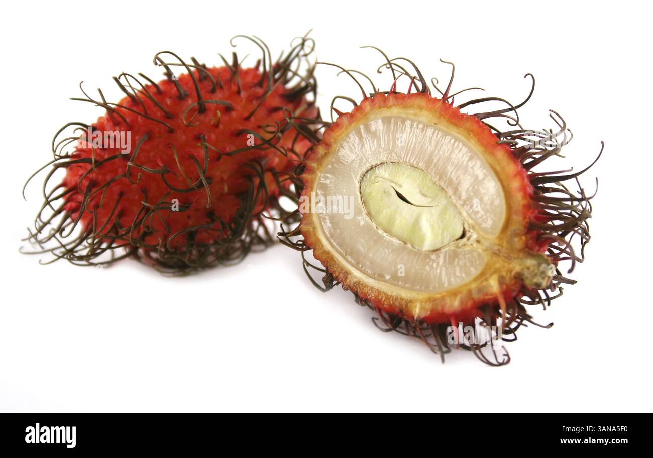 Rambutan is a colorful and spiky tropical fruit with a sweet flavor ...