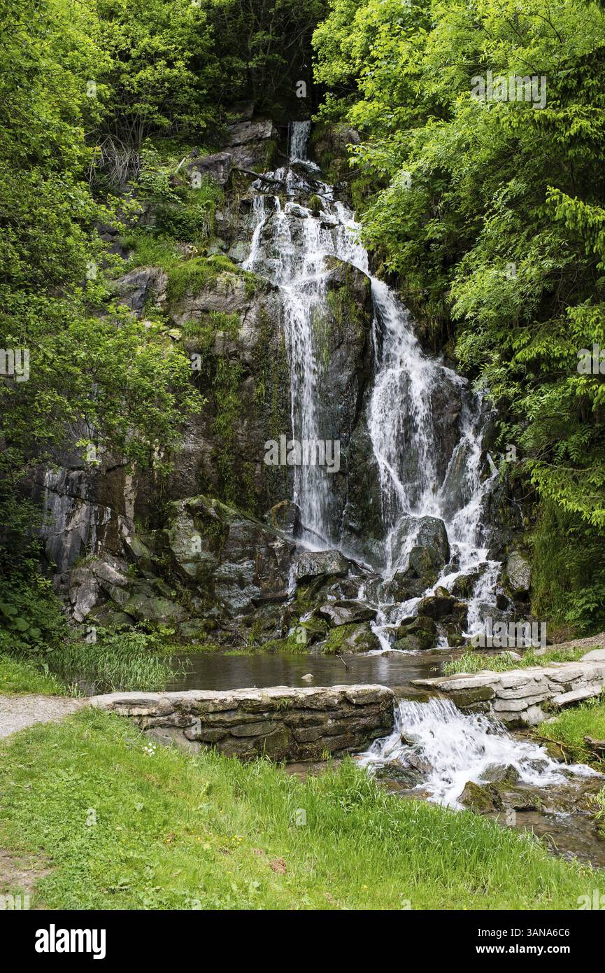 3559 hi-res stock photography and images - Alamy