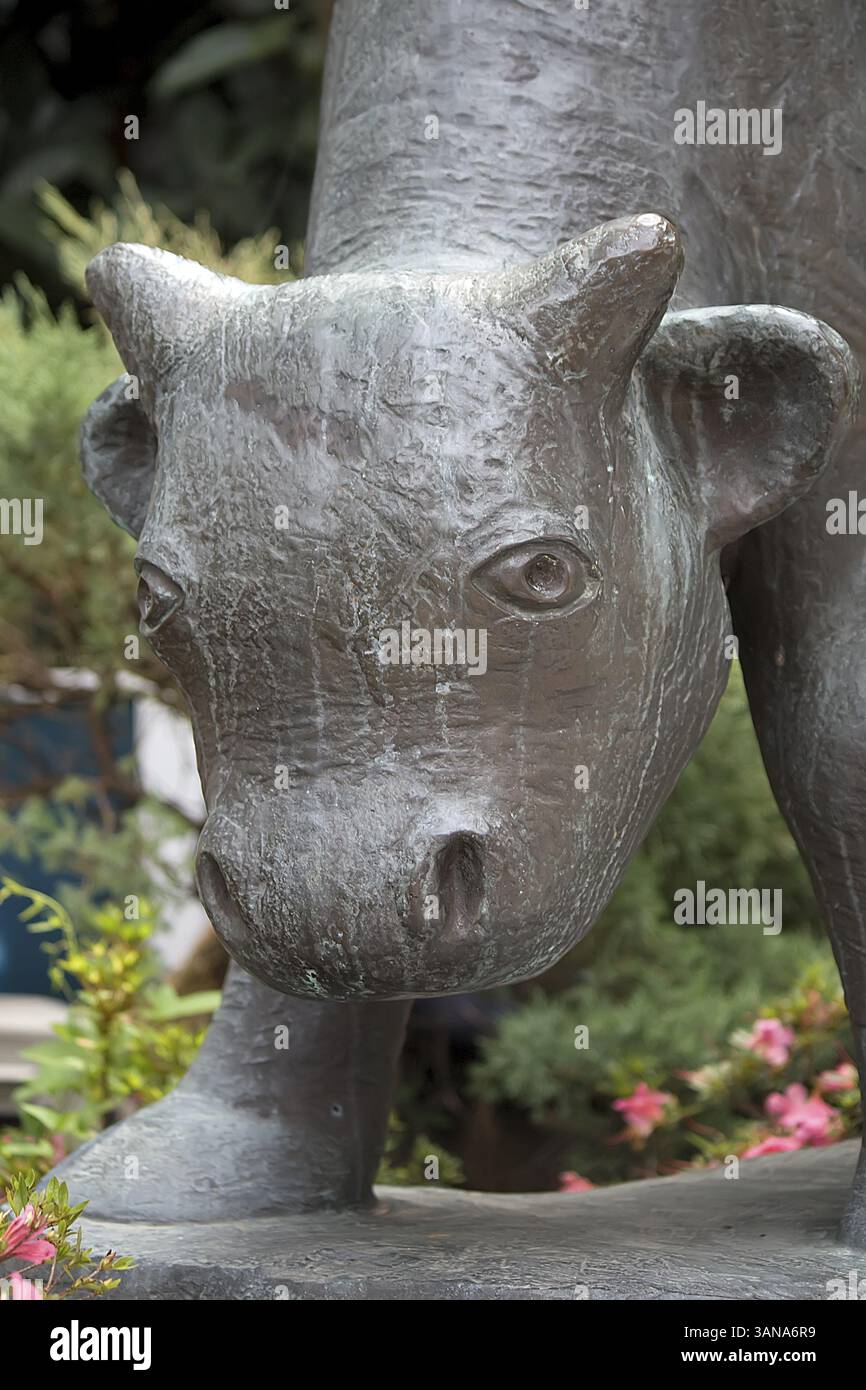 Korean stock market bull Stock Photo - Alamy