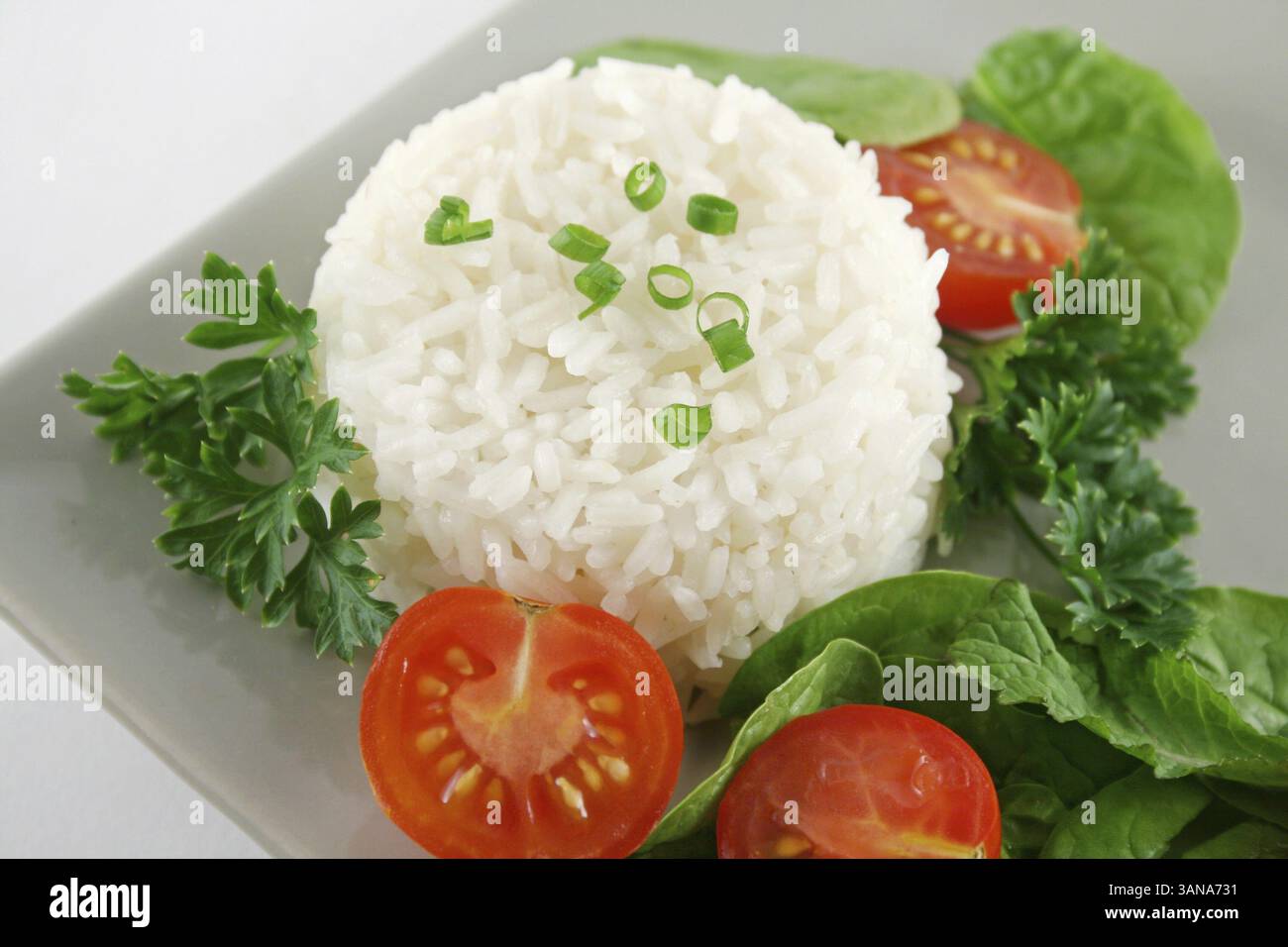 Steamed rice stack with a fresh garden salad Stock Photo - Alamy