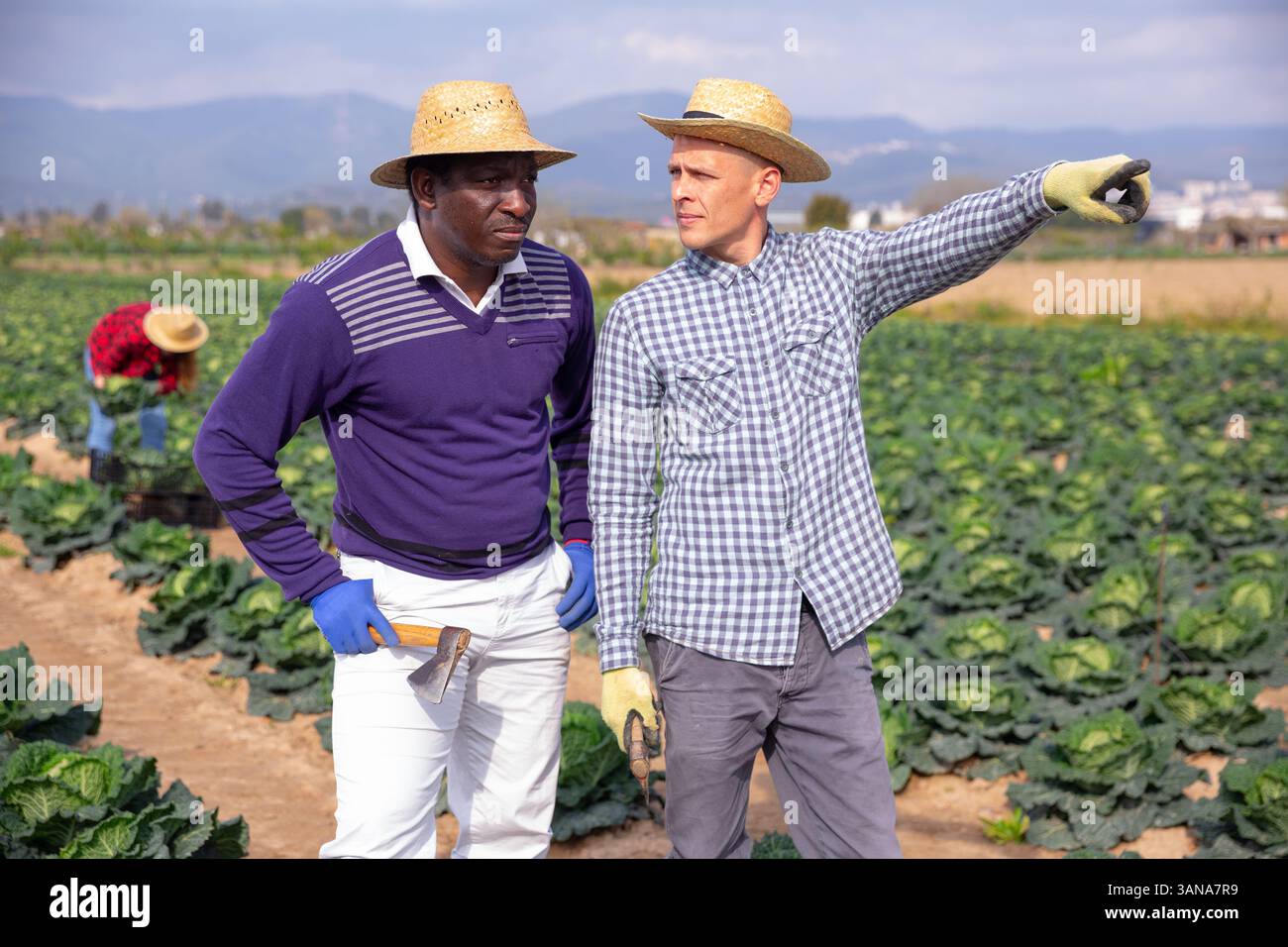 Two farm workers hand hi-res stock photography and images - Alamy