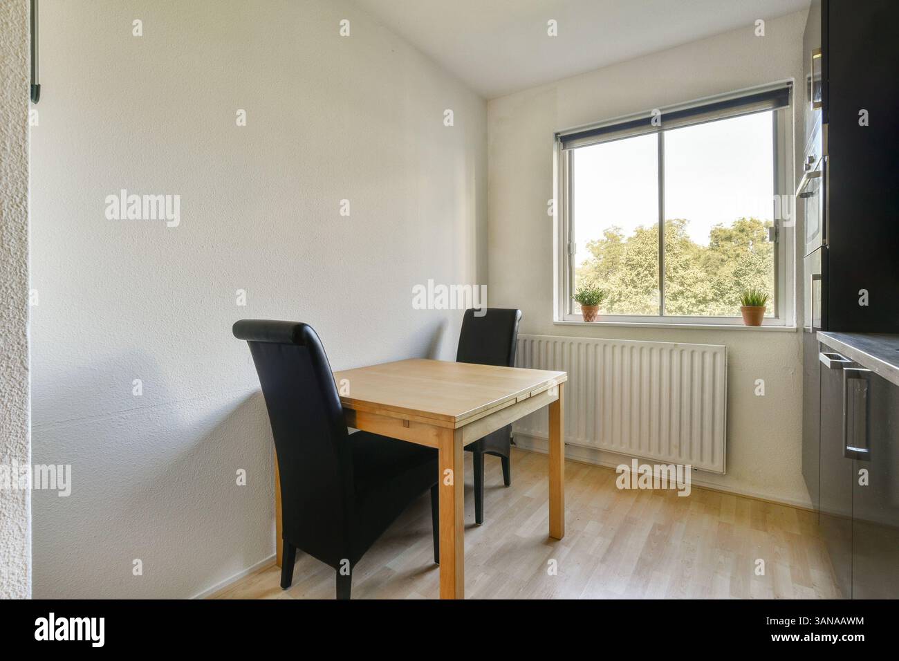 Sparse greenery lines hi-res stock photography and images - Alamy