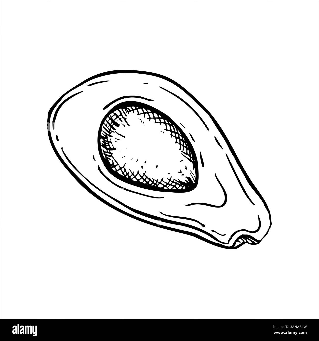 Half of avocado with seed vector isolated illustration painted by black ...
