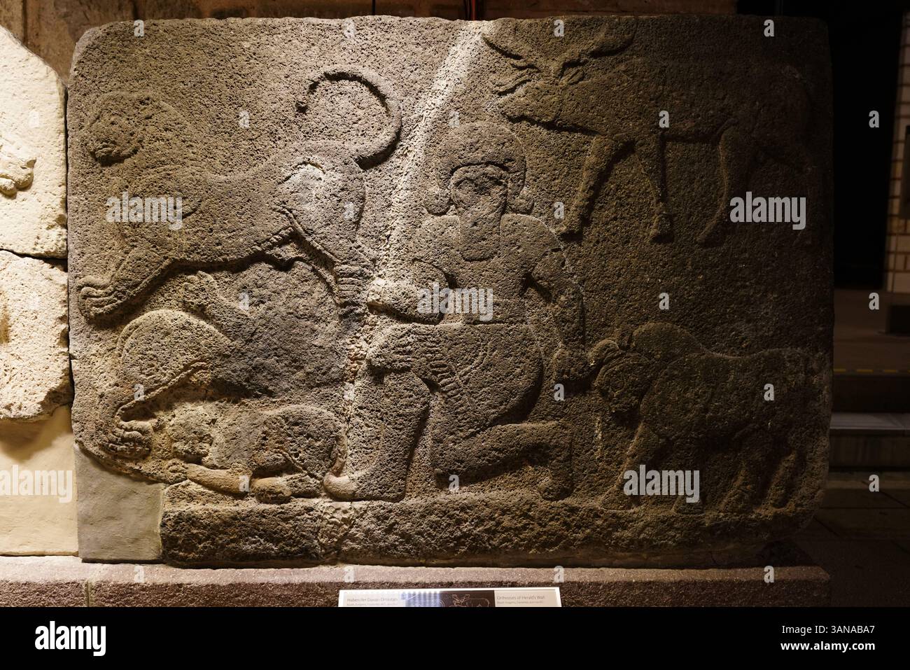 Orthostat hi-res stock photography and images - Alamy