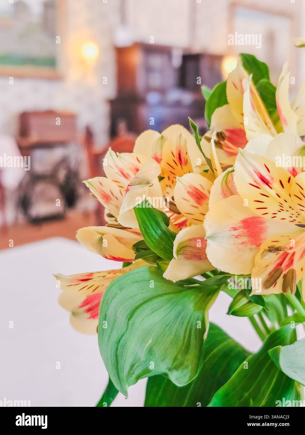 Beautiful flower bouquet close up and old manor house interior ...