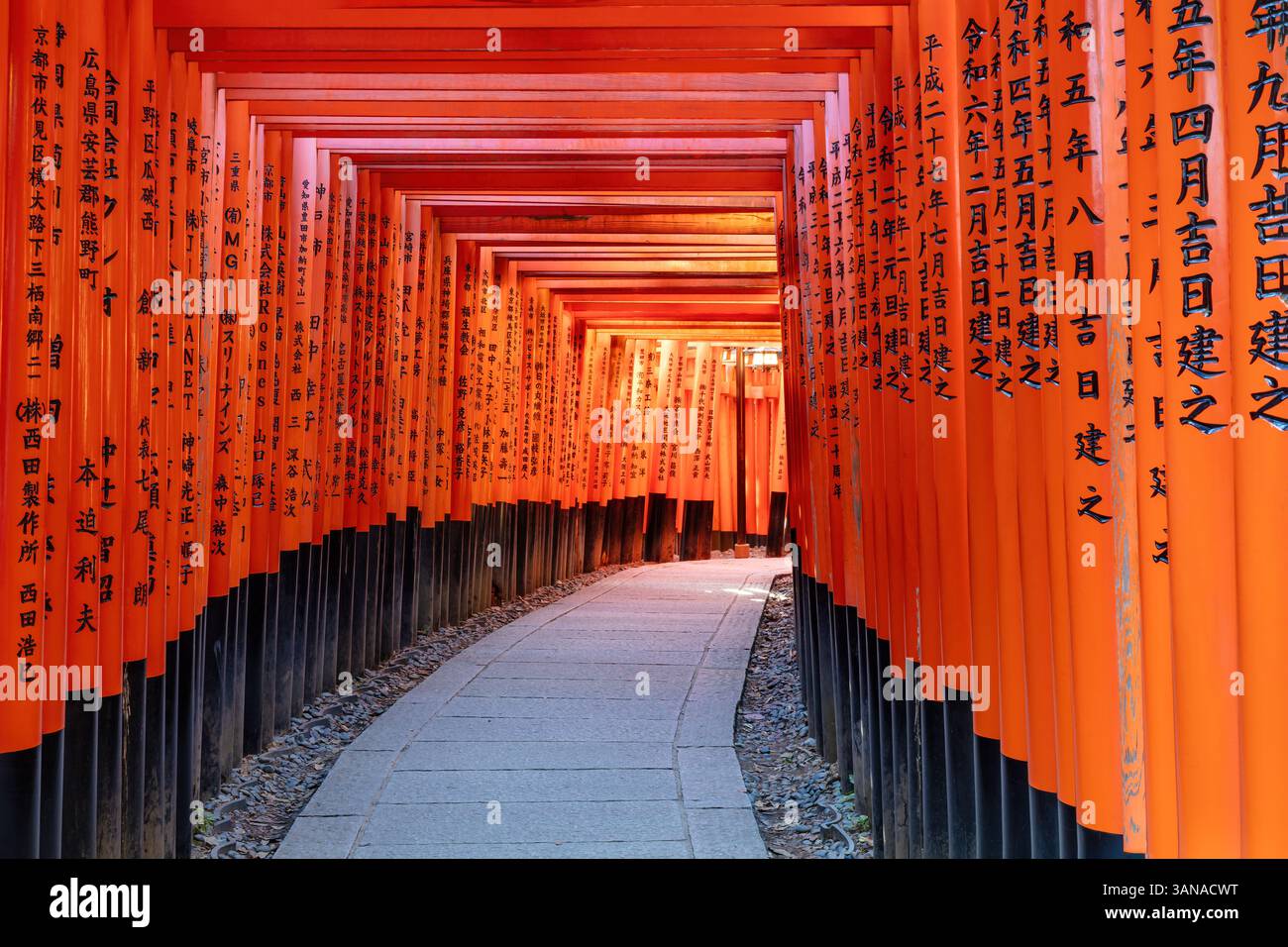 Orange wooden gates of Fushimi Inari Shrine, in Kyoto, Japan Stock ...